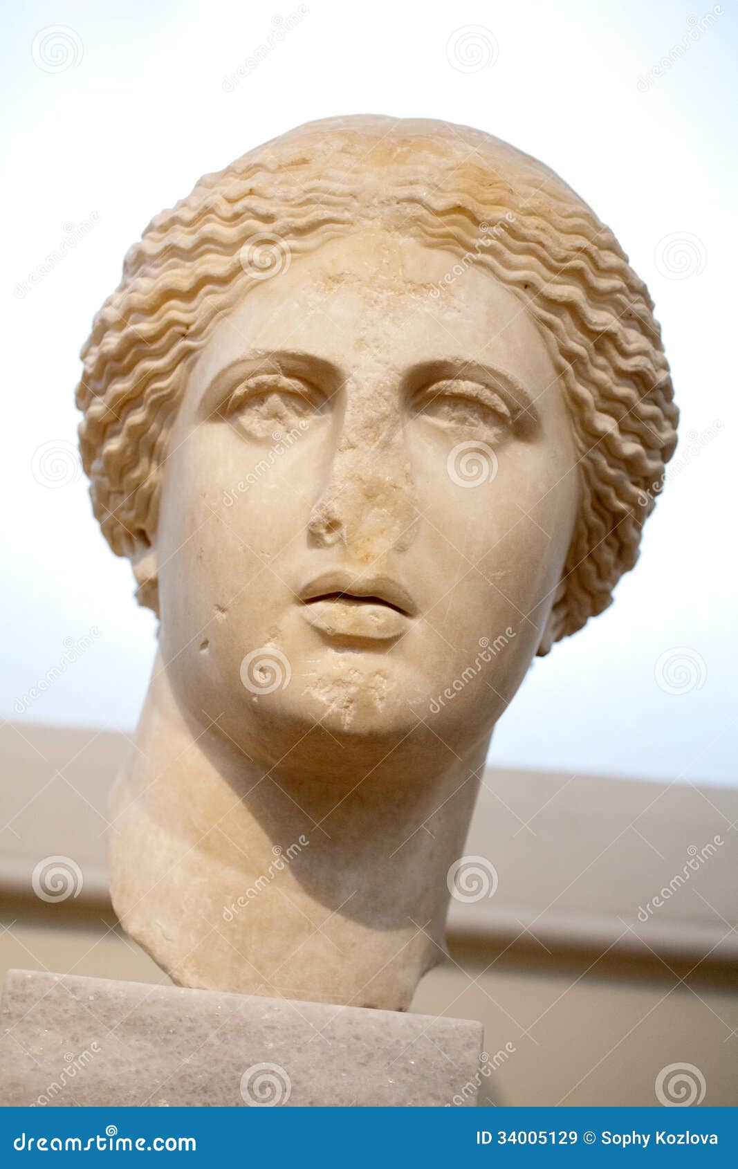 Aphrodite Greek Goddess Statue Head