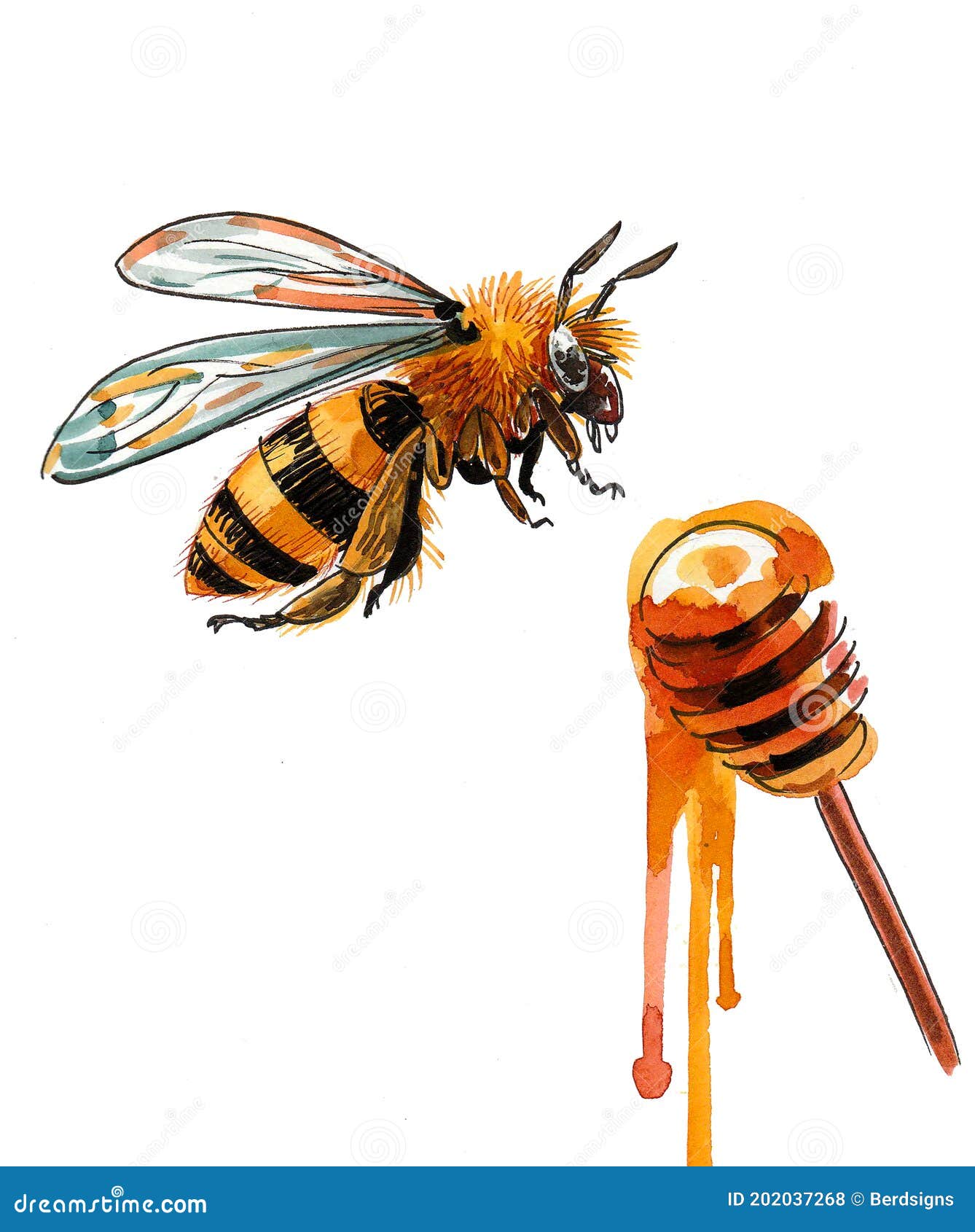 Api e miele illustrazione di stock. Illustrazione di apicoltura - 202037268