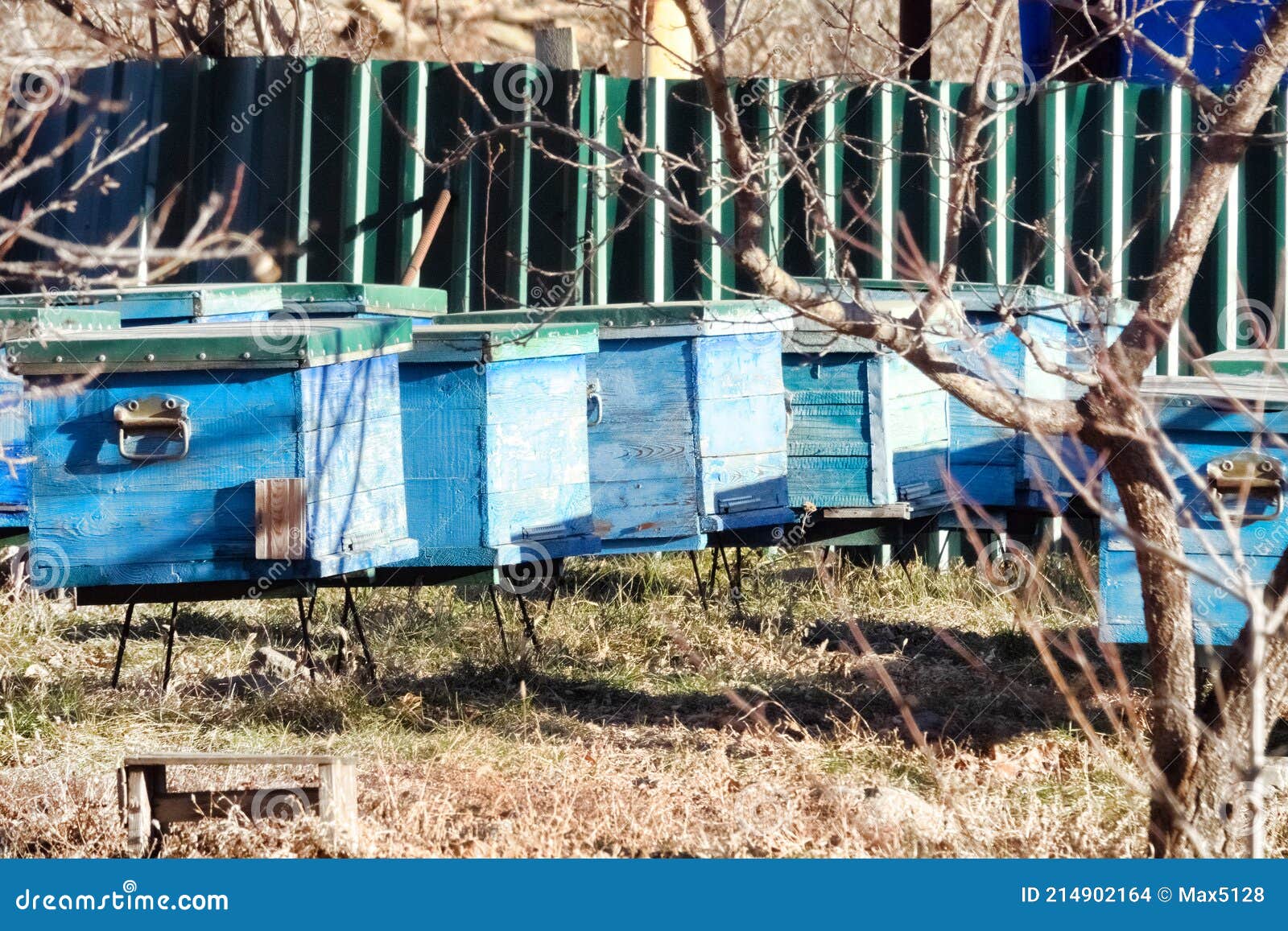 Apiario Privado En El Jardín Foto de archivo - Imagen de colmena ...