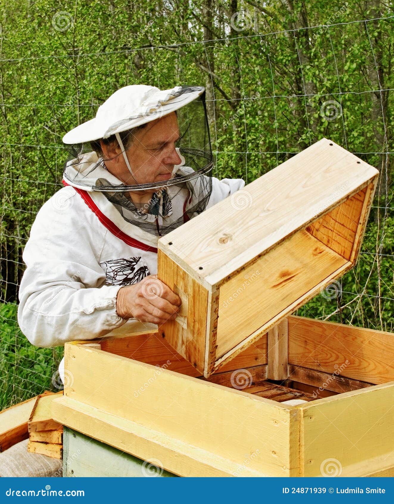 Apiarist. stock image. Image of person, natural, male - 24871939