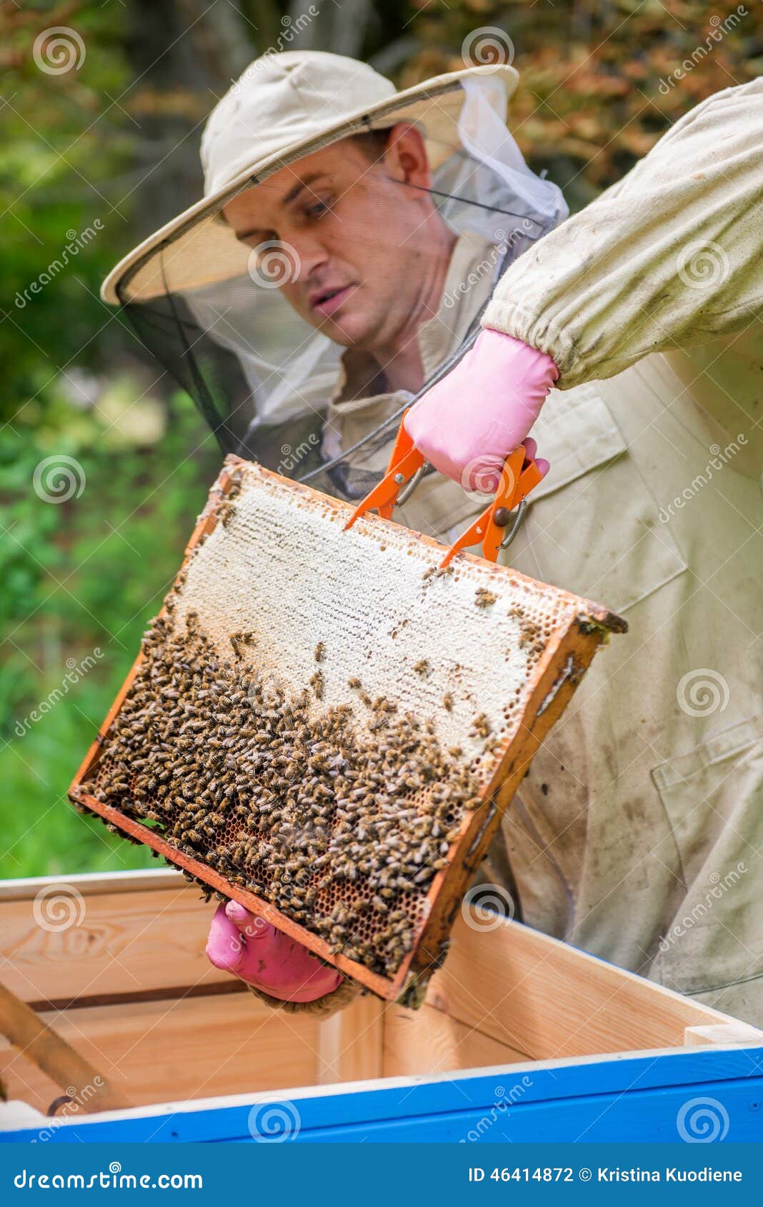 Apiarist Man Working in Nature in Summer Editorial Photography - Image ...