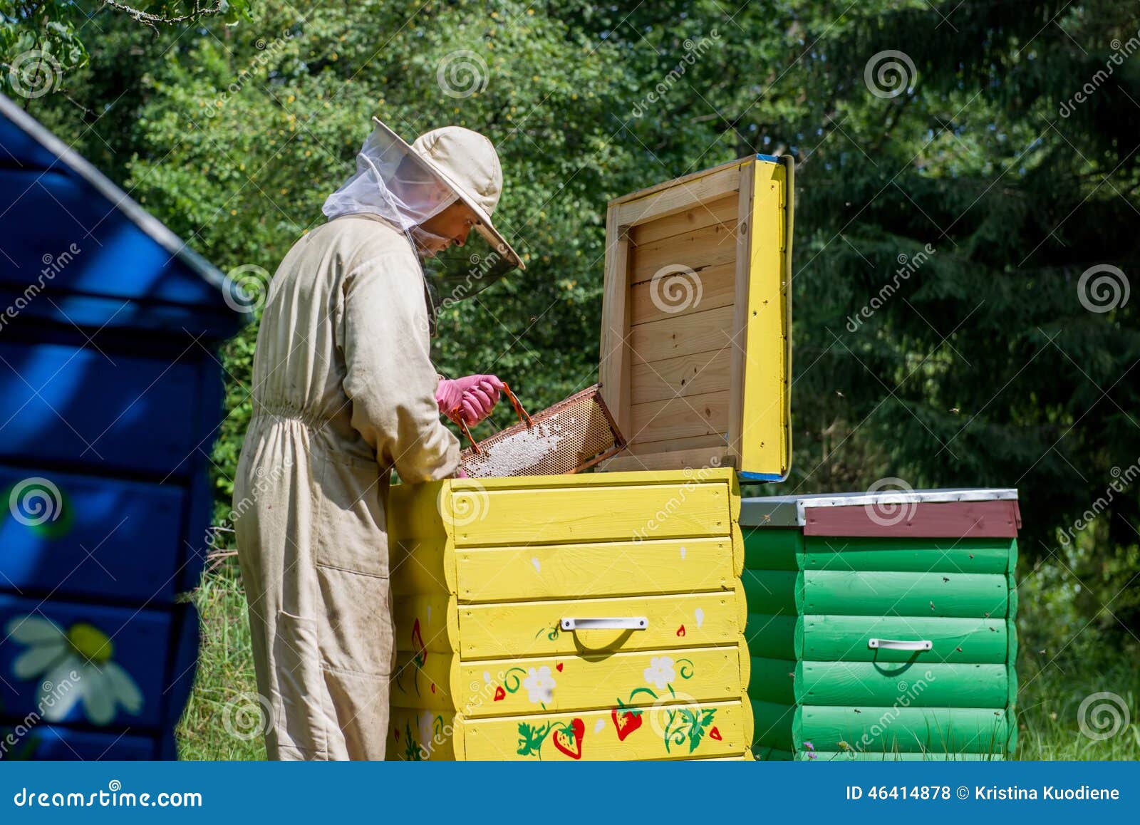 Apiarist Man Working in Nature in Summer Editorial Stock Photo - Image ...