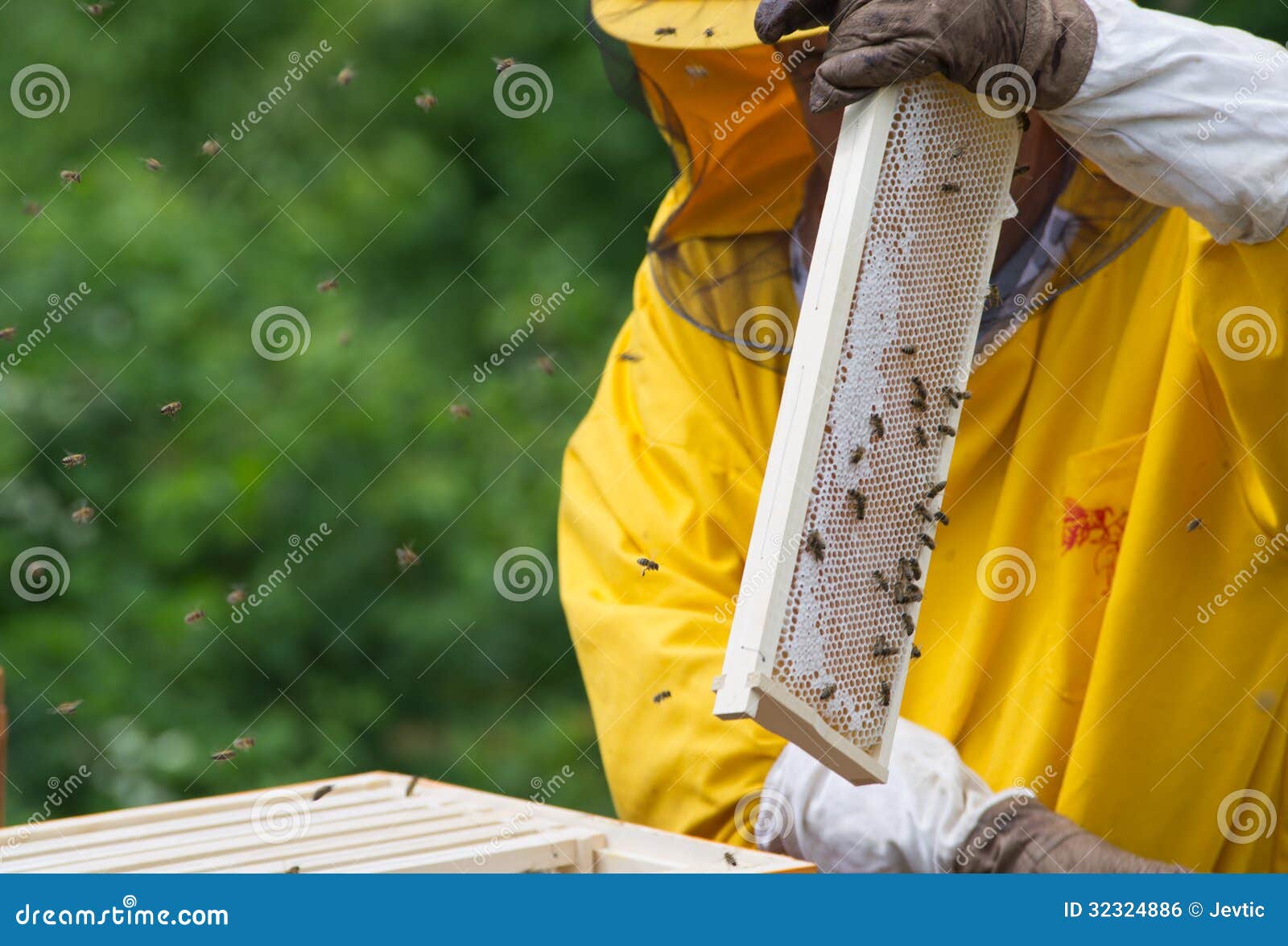 Apiarist working stock photo. Image of beekeeper, apiary - 32324886