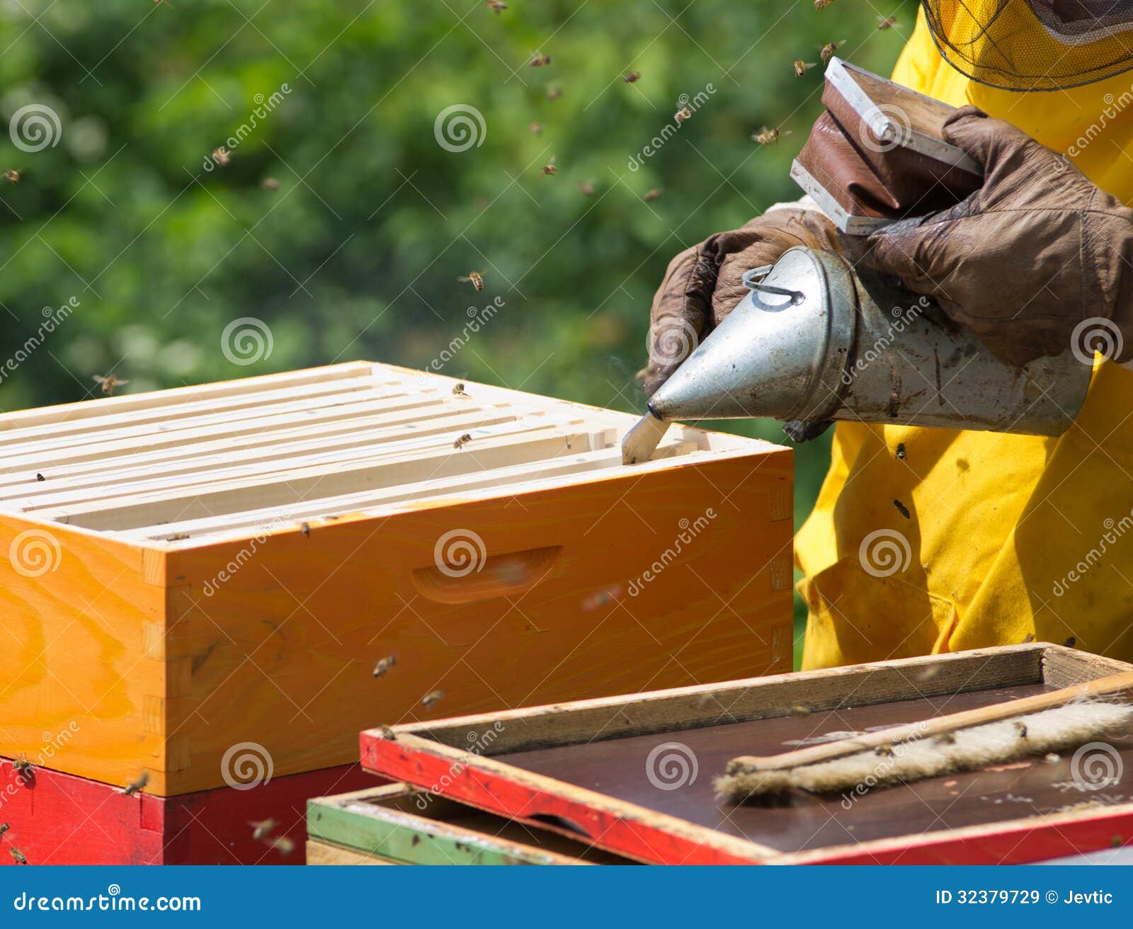 Apiarist working stock image. Image of craft, farm, beekeeping - 32379729