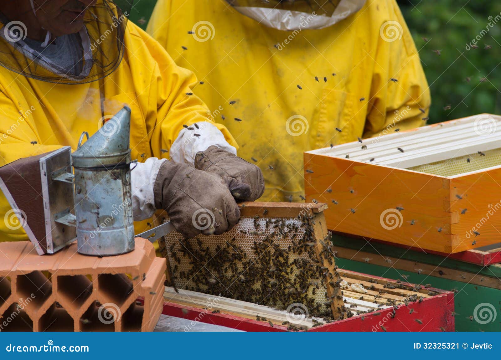 Apiarists working stock image. Image of gloves, honey - 32325321