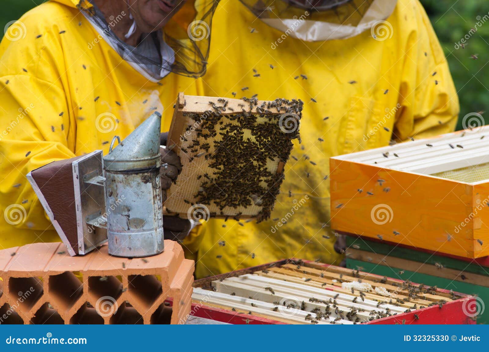 Apiarists working stock photo. Image of farm, person - 32325330