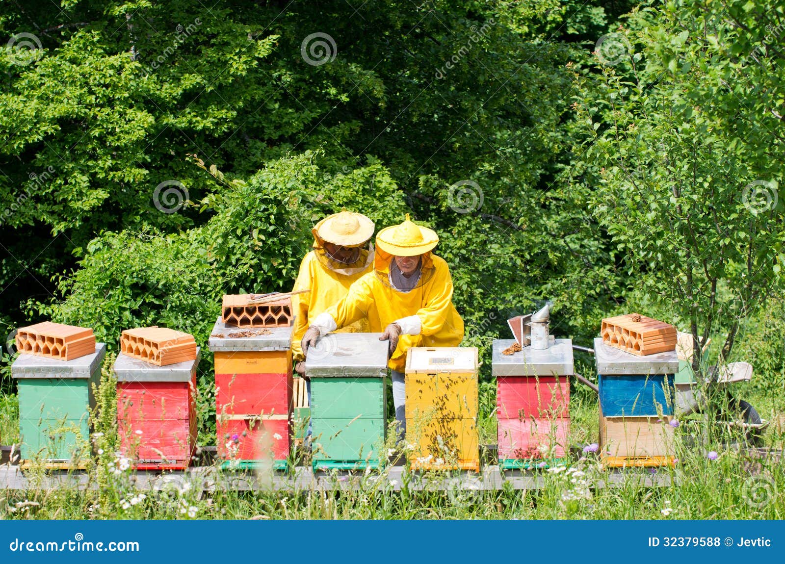 Apiarists working stock photo. Image of frame, honeycomb - 32379588