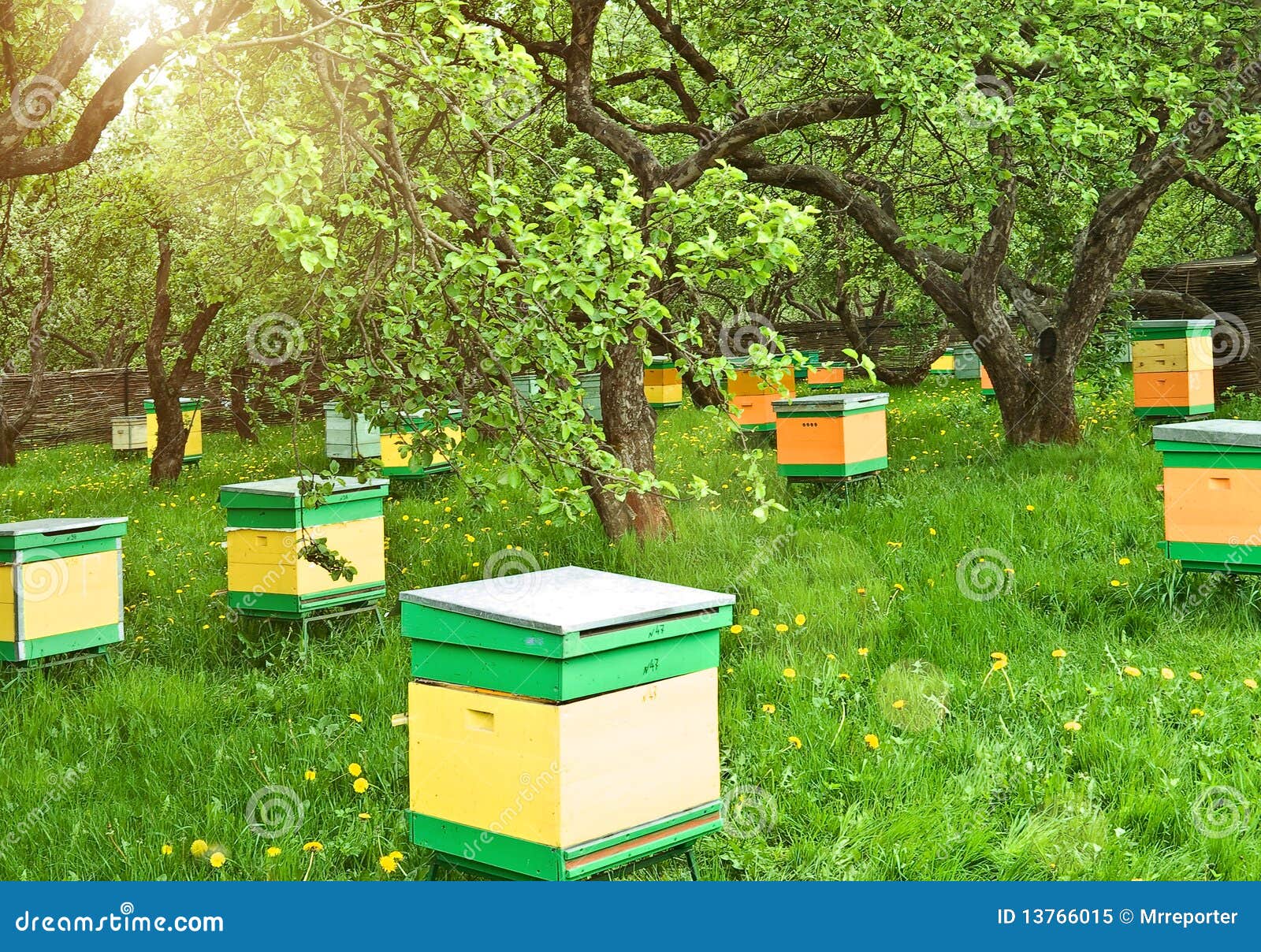 Apiary Royalty Free Stock Photo - Image: 13766015