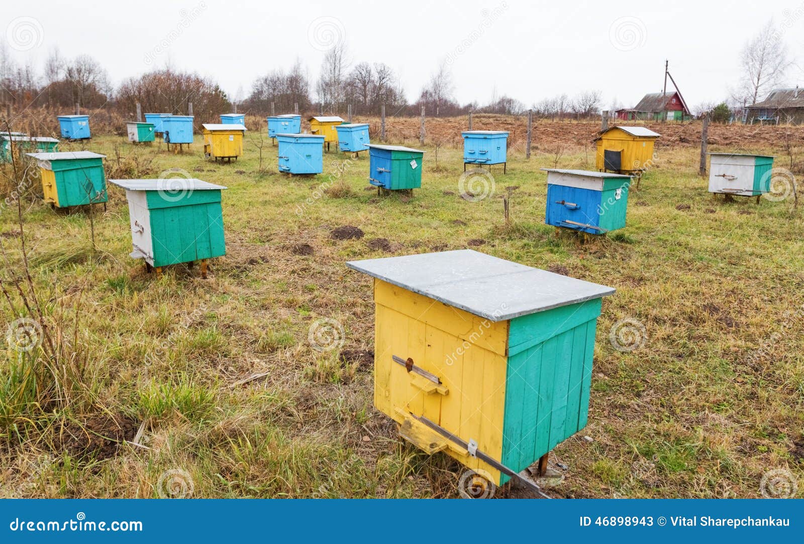Apiary stock image. Image of apiarist, ecology, autumn - 46898943