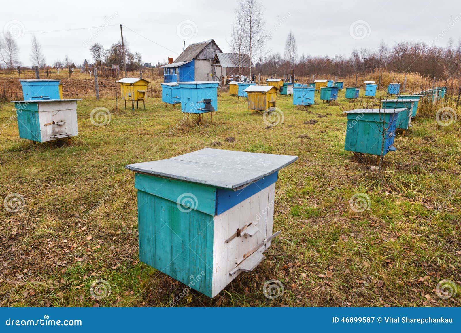 Apiary. editorial photography. Image of hive, apiarist - 46899587