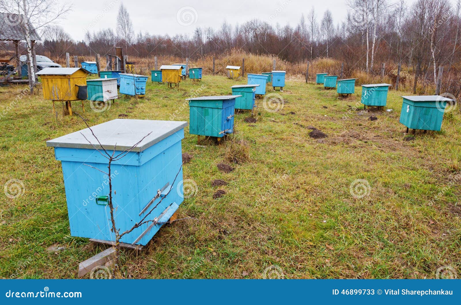 Apiary stock image. Image of farmer, blue, field, ecology - 46899733