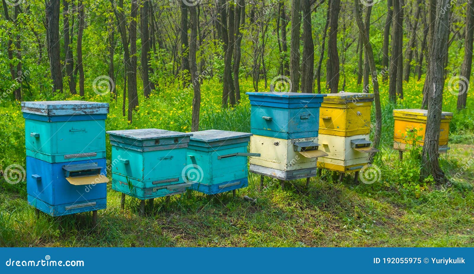 Apiary with Beehive in a Forest Stock Image - Image of country, apiary ...