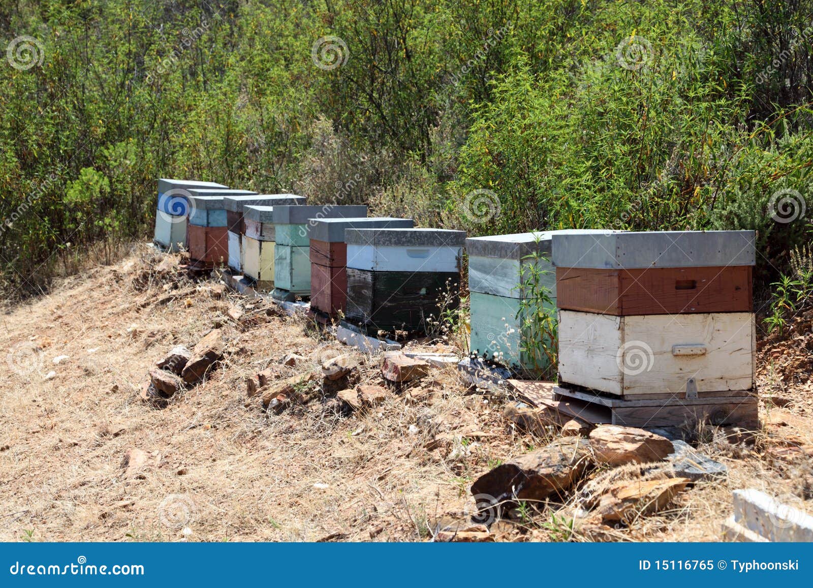 Apiary boxes stock image. Image of algarve, array, portugal - 15116765