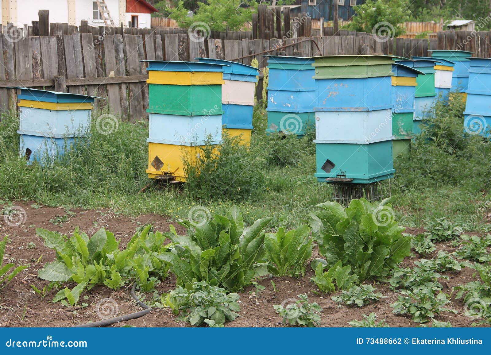 Apiary with Colorful Beehives Stock Photo - Image of field, village ...
