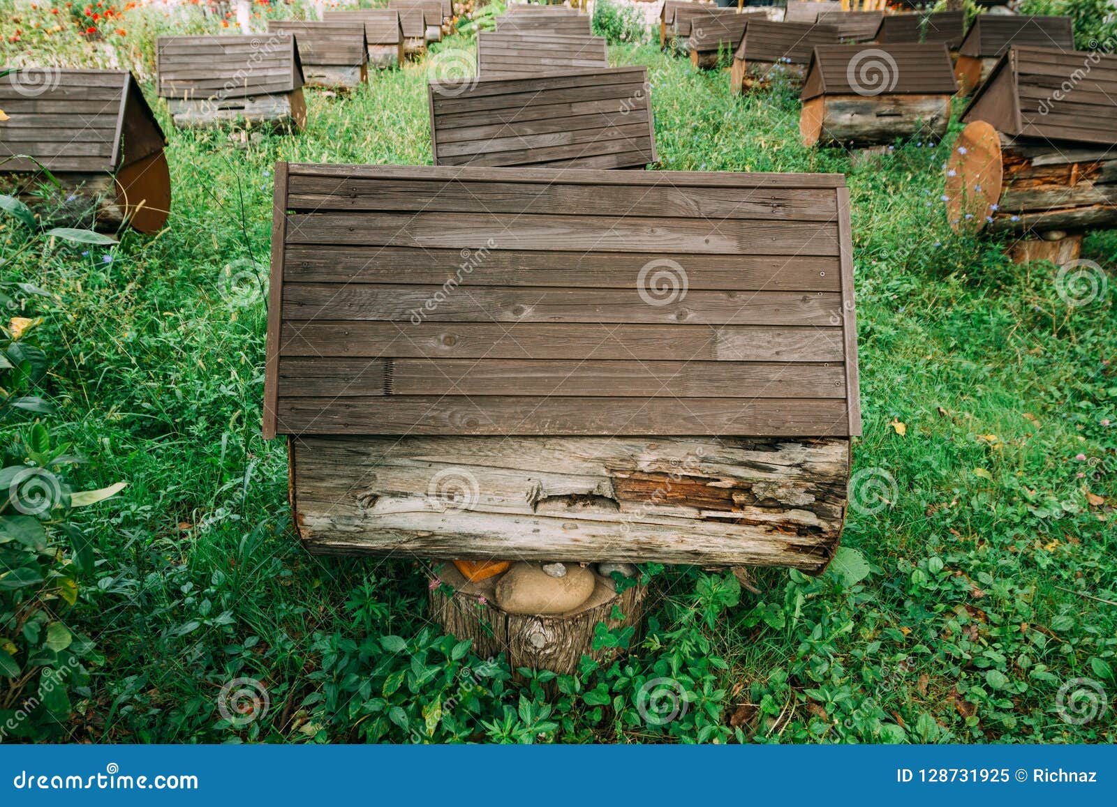 Apiary Consisting of Artificial Hives. Lined Up One after Another among ...