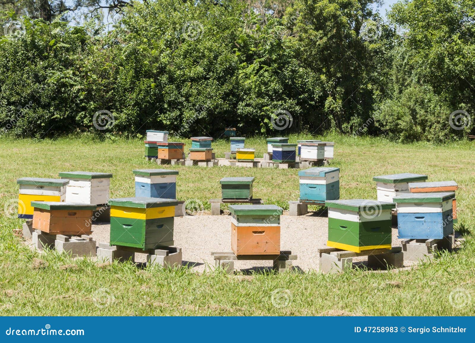 Apiary stock image. Image of apiary, honey, bees, honeybee - 47258983