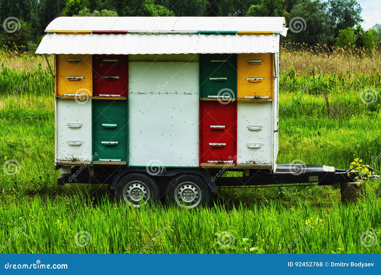 Apiary Hives in the Trailer Stock Photo - Image of honeybee, outdoors ...
