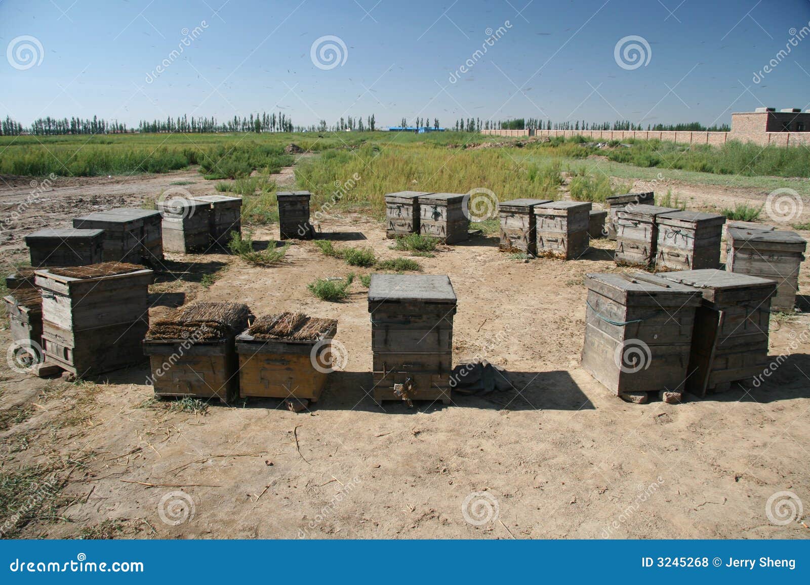 Round Beehive Swarm Stock Photos - Free & Royalty-Free Stock Photos ...