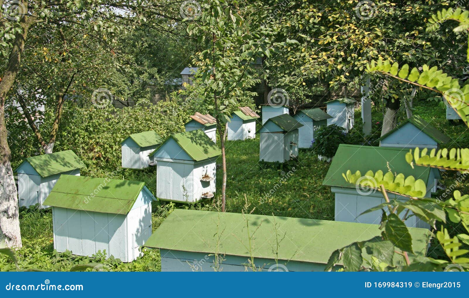Apiary in the Monastery Garden Stock Image - Image of bees, food: 169984319
