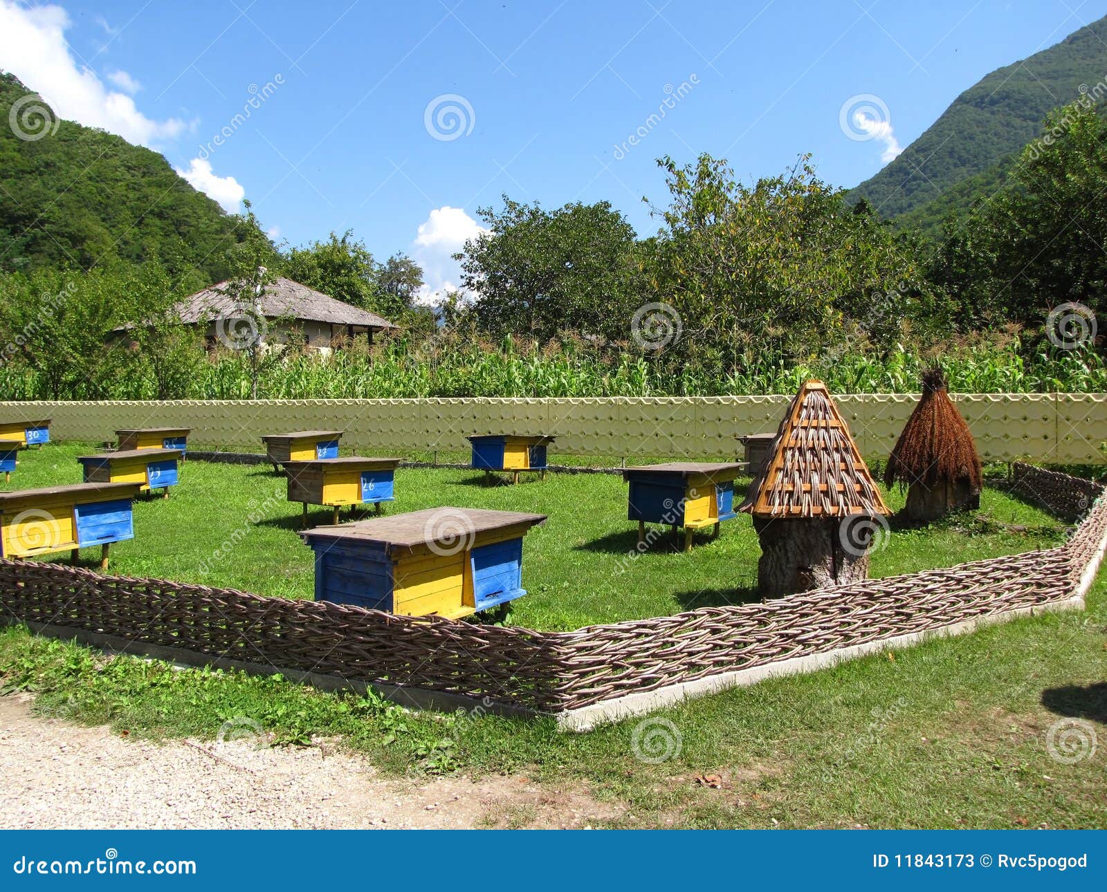 Apiary in the mountains stock image. Image of outdoors - 11843173