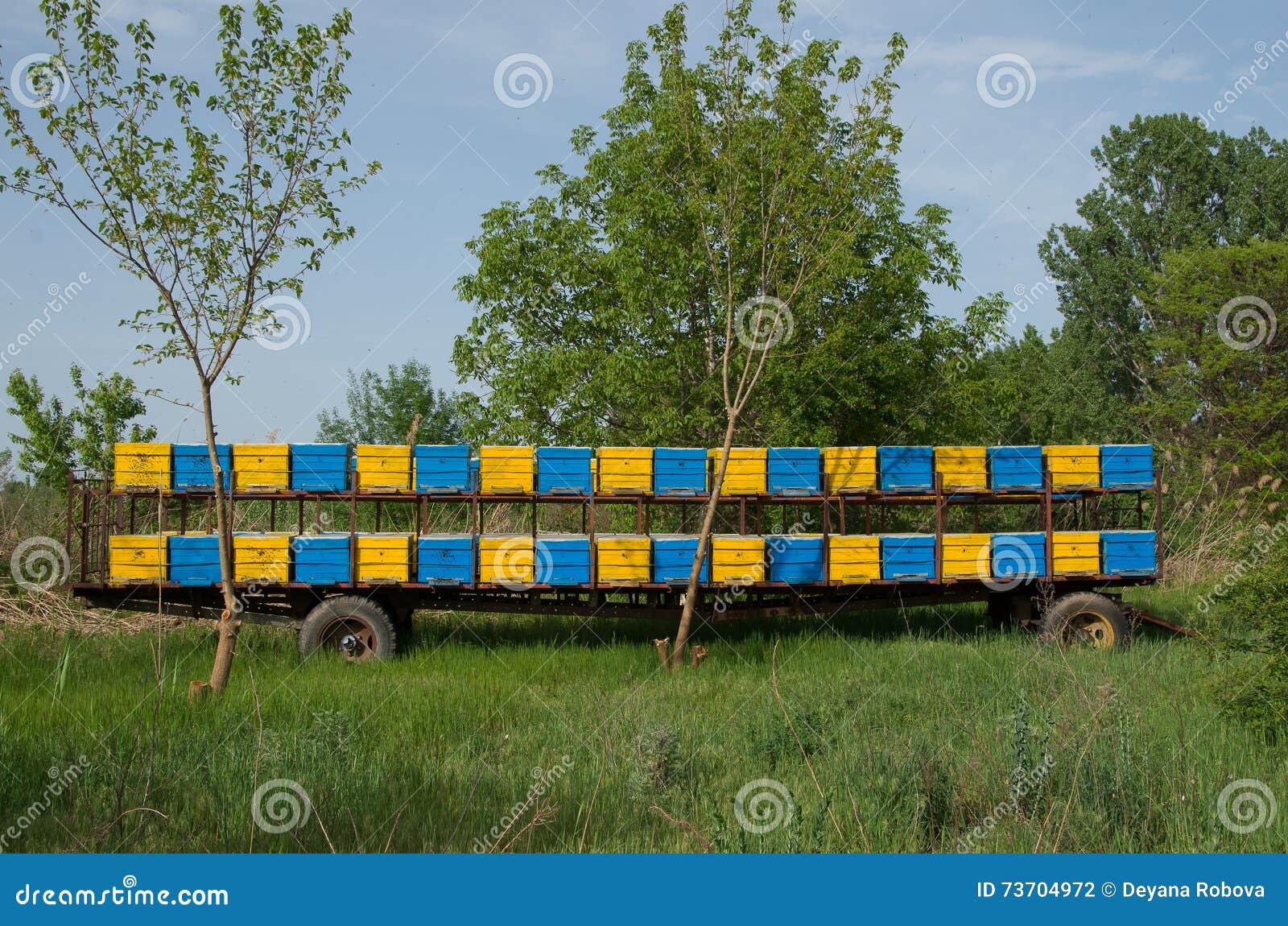 Apiary trailer. stock photo. Image of color, meadow, insect - 73704972