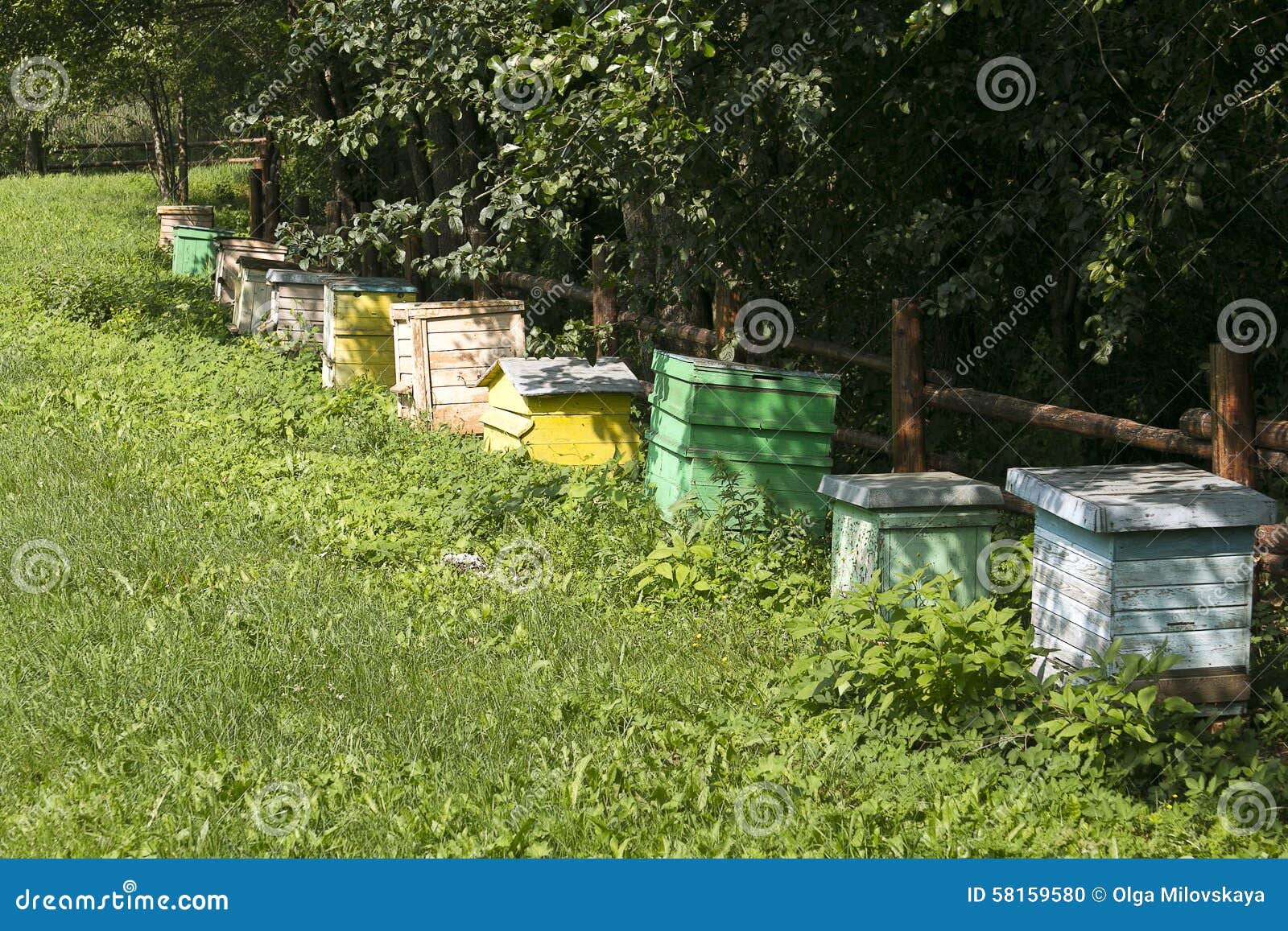 Apiary stock photo. Image of flying, color, frame, garden - 58159580
