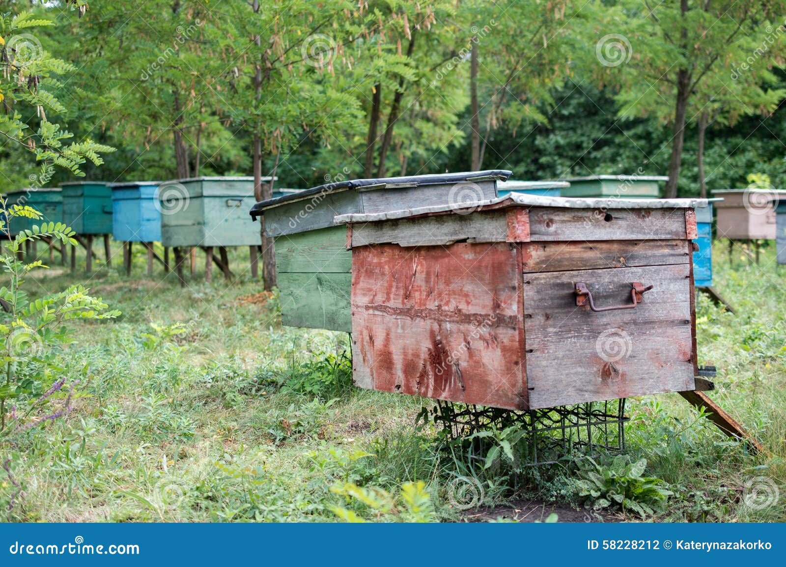 Apiary in the woods stock photo. Image of beeswax, three - 58228212