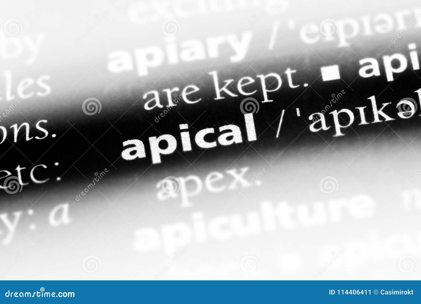 320 Apical Photos - Free & Royalty-Free Stock Photos from Dreamstime