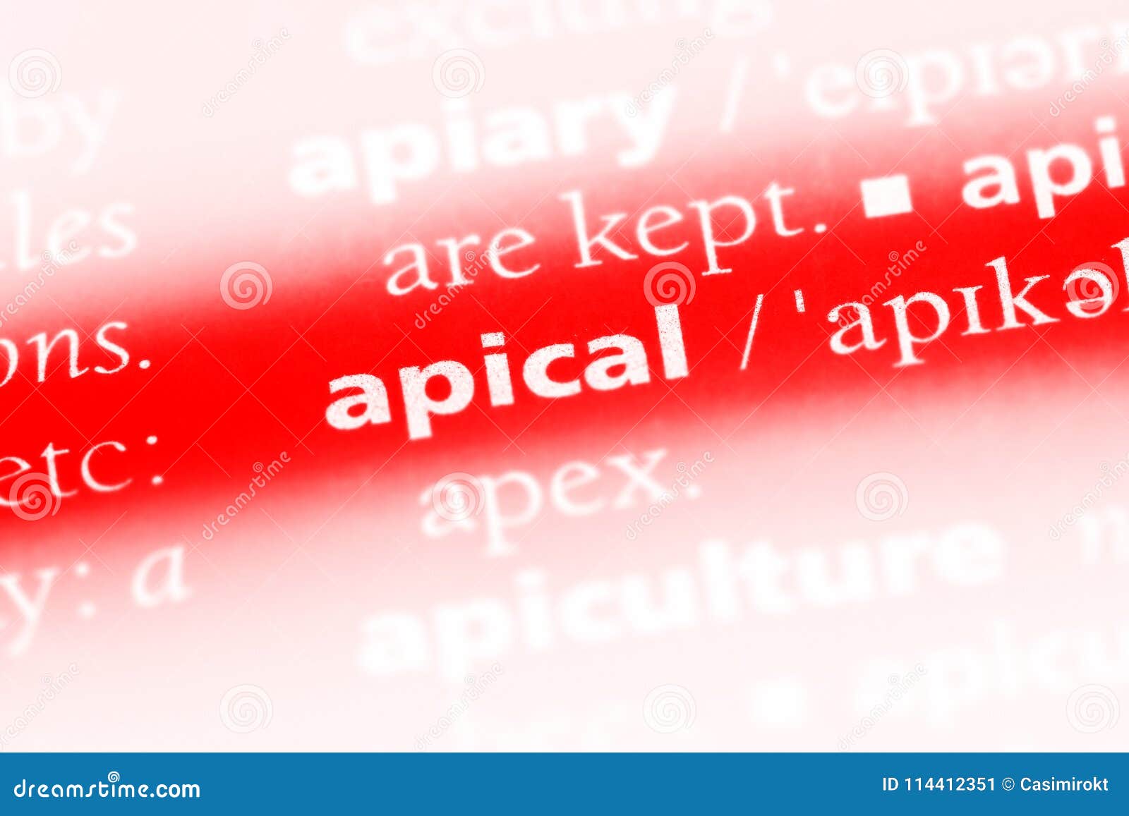 Apical stock image. Image of english, printed, page - 114412351