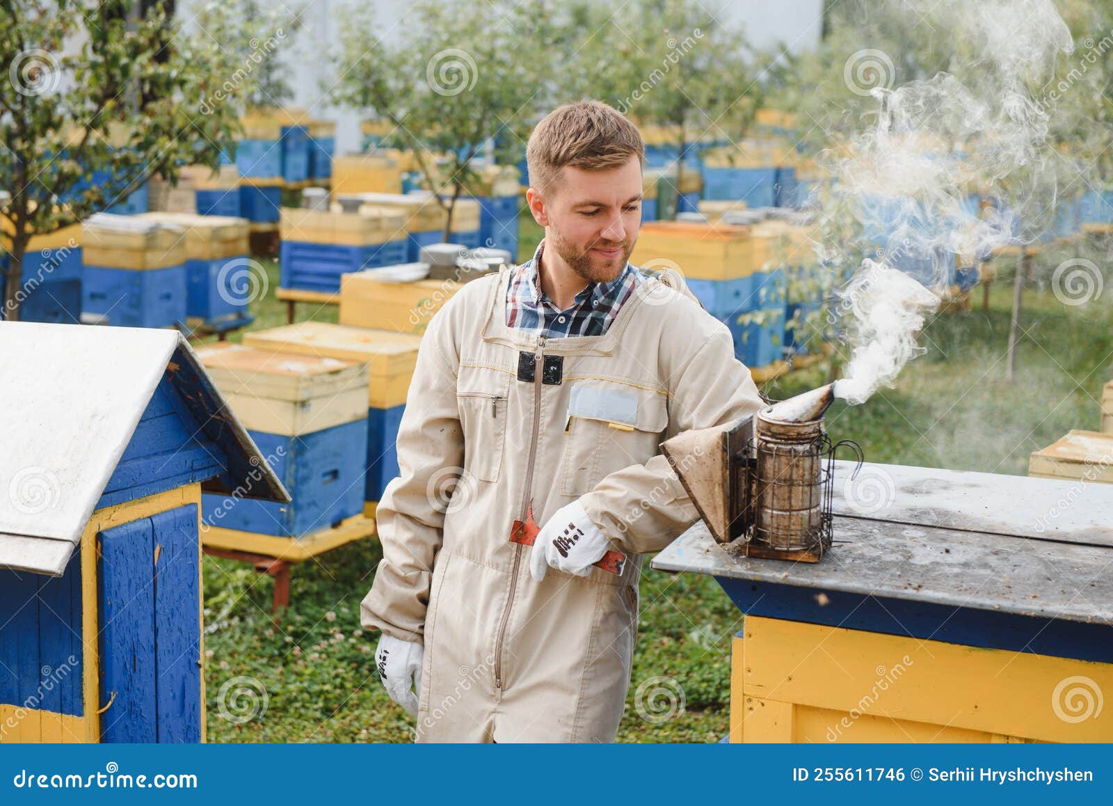 Apicultor No Trabalho Abelhas Em Voo. Foto de Stock - Imagem de beeswax ...