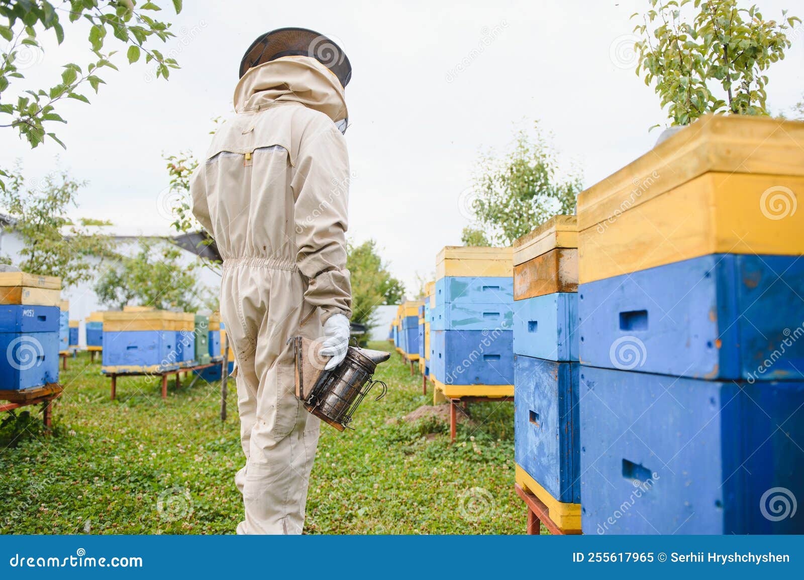 Apicultor No Trabalho Abelhas Em Voo. Imagem de Stock - Imagem de ...