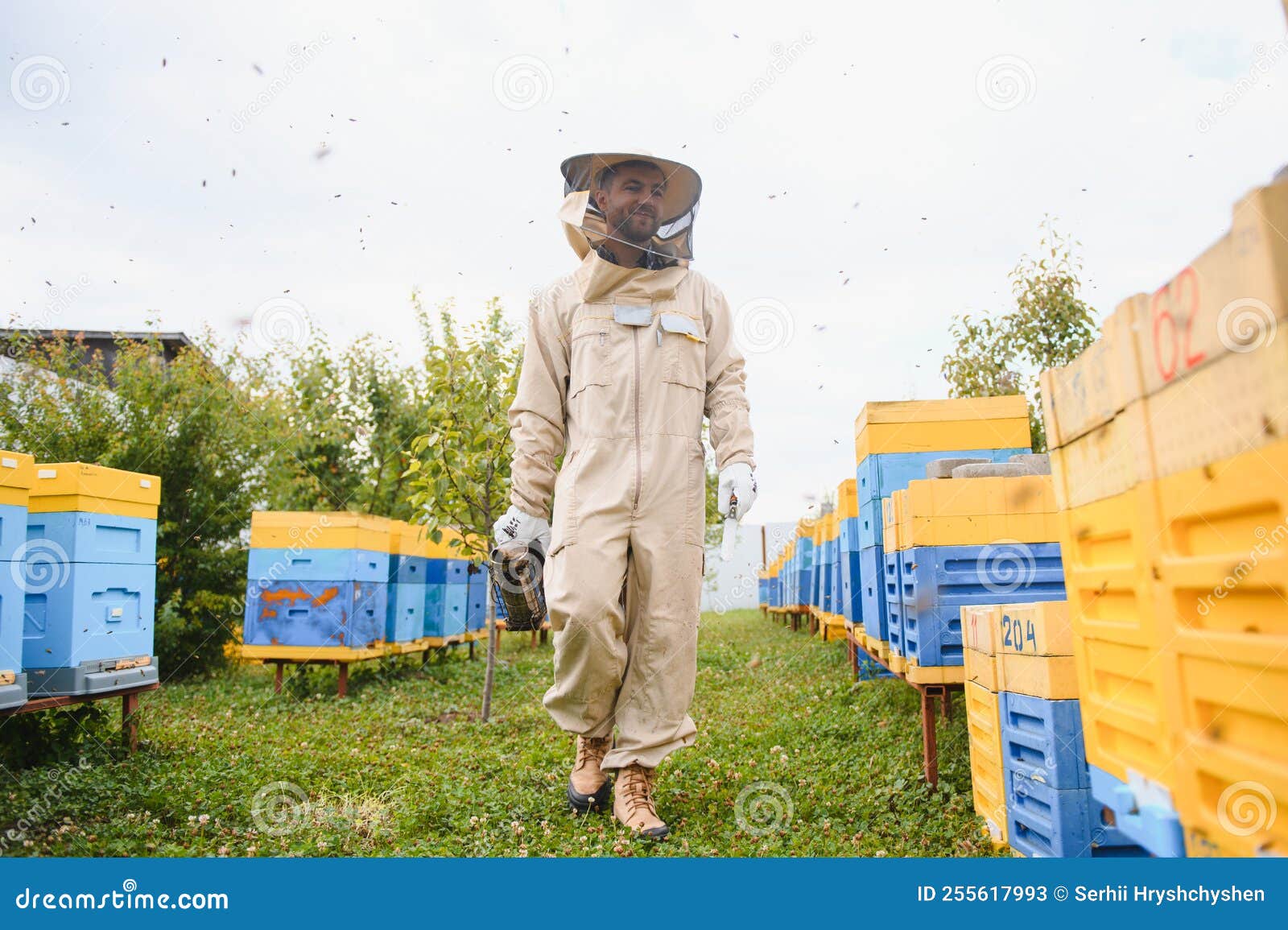 Apicultor No Trabalho Abelhas Em Voo. Imagem de Stock - Imagem de broto ...