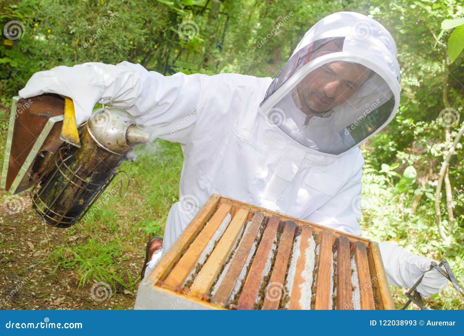 Apicultor Que Fuma Las Abejas Imagen de archivo - Imagen de examen ...