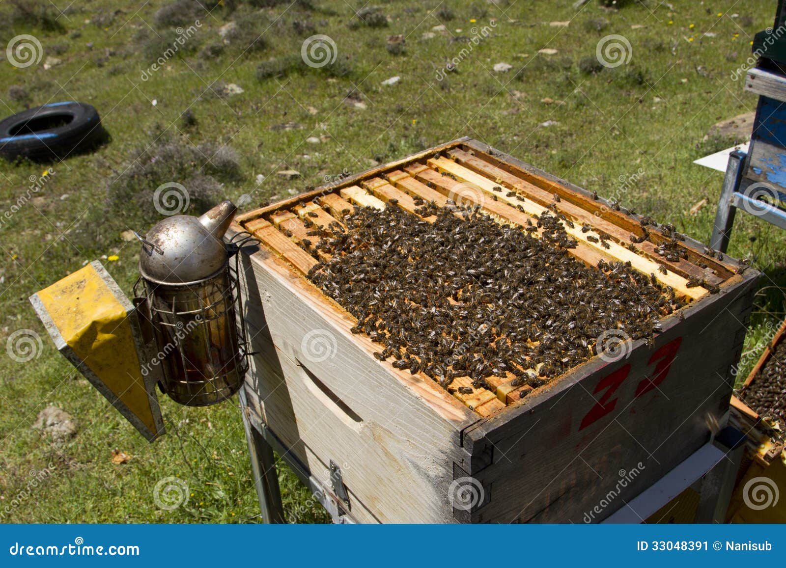 Apiculture stock image. Image of apiary, backgrounds - 33048391