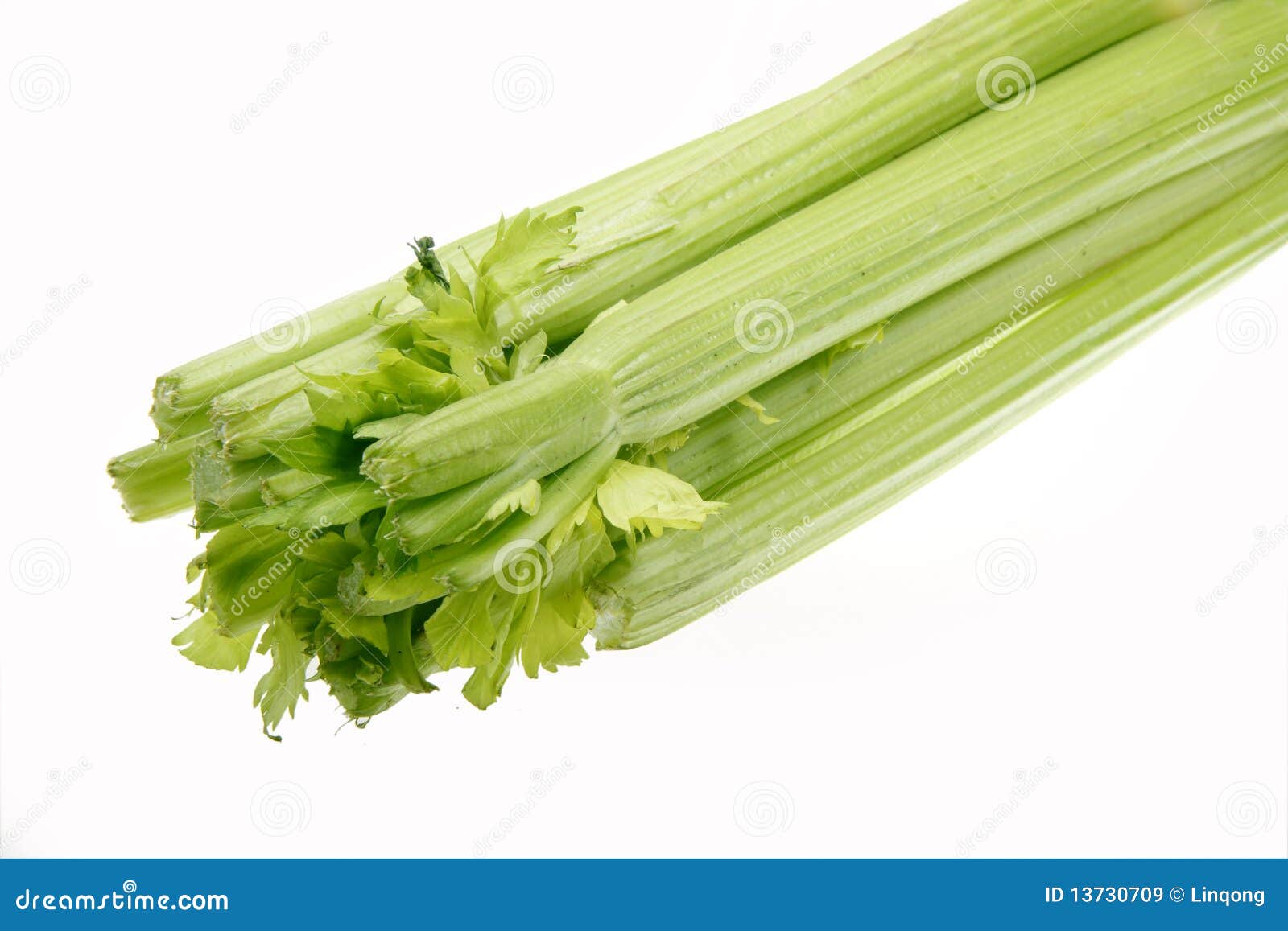 Apio imagen de archivo. Imagen de blanco, apio, fresco - 13730709