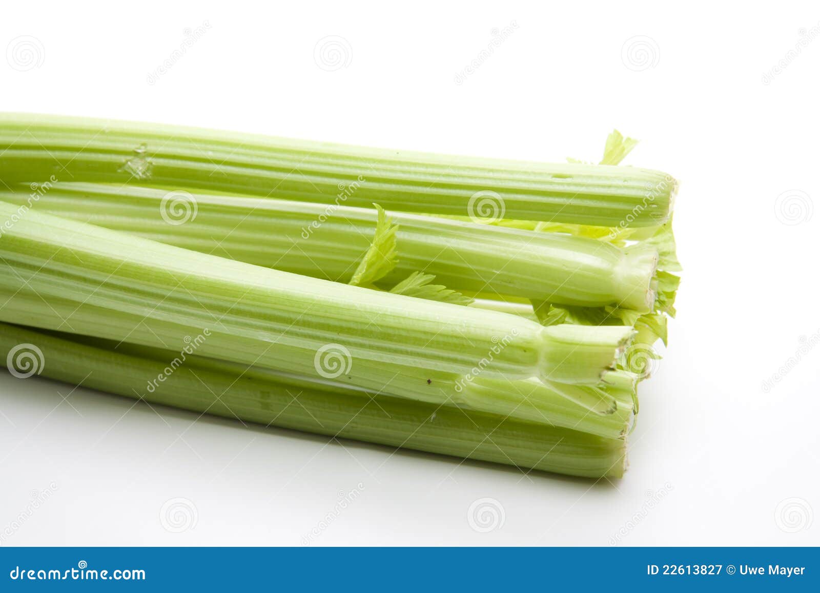 Apio blanqueado verde imagen de archivo. Imagen de blanco - 22613827