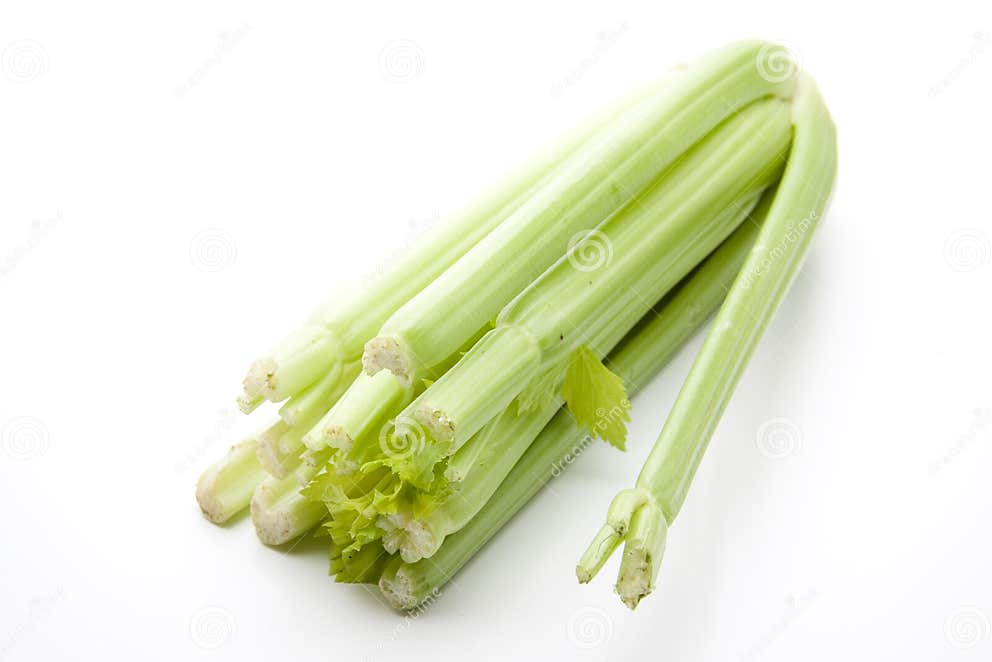 Apio blanqueado verde foto de archivo. Imagen de blanqueado - 22613842
