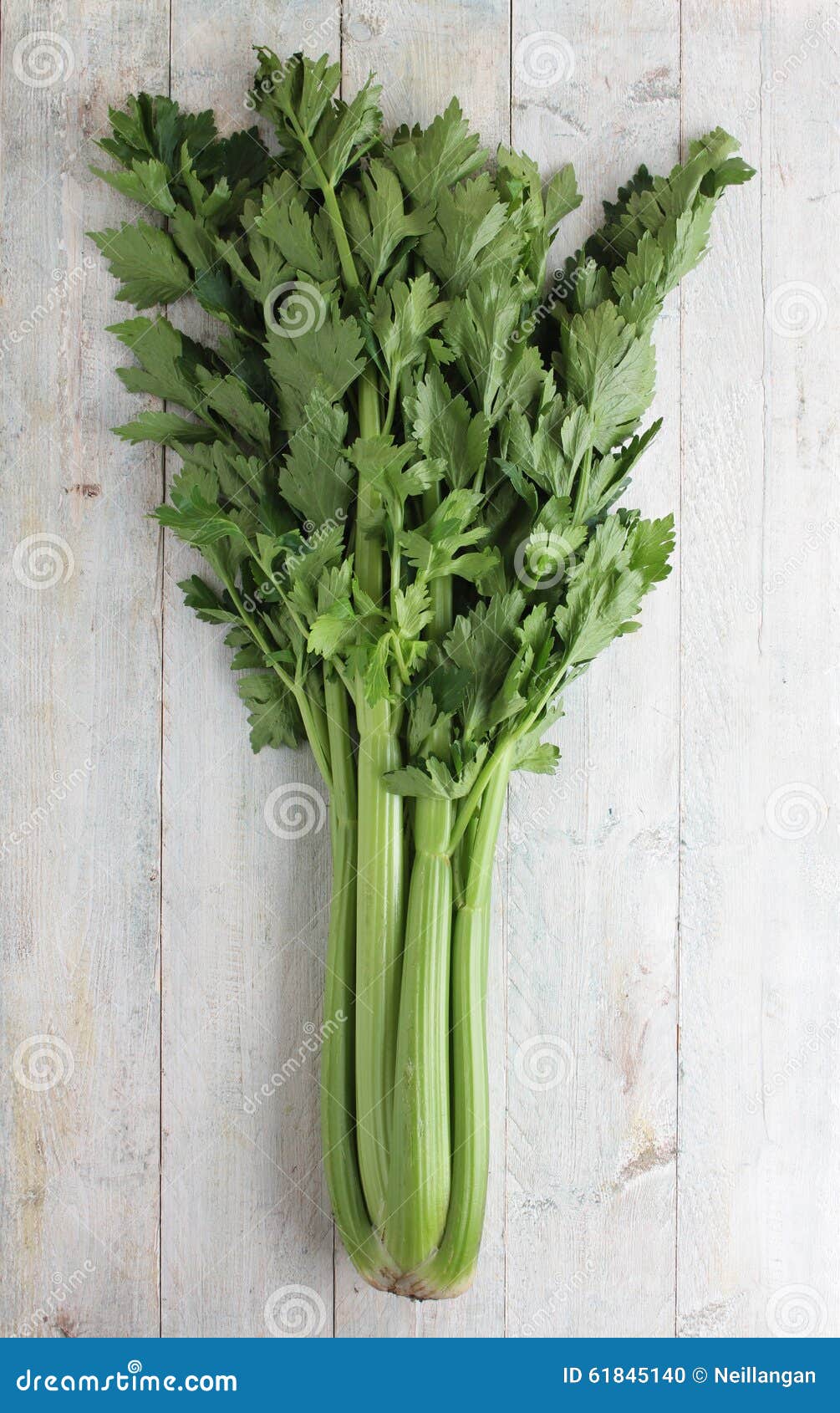Apio fresco del apio nabo foto de archivo. Imagen de bandeja - 61845140