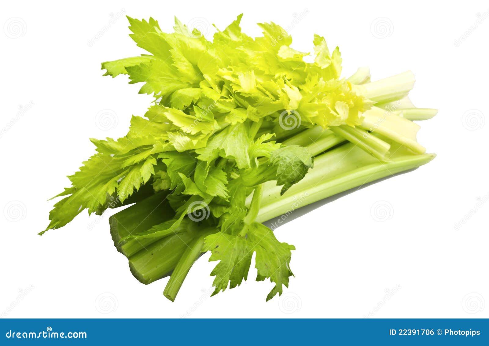 Apio verde foto de archivo. Imagen de aroma, apio, dieta - 22391706