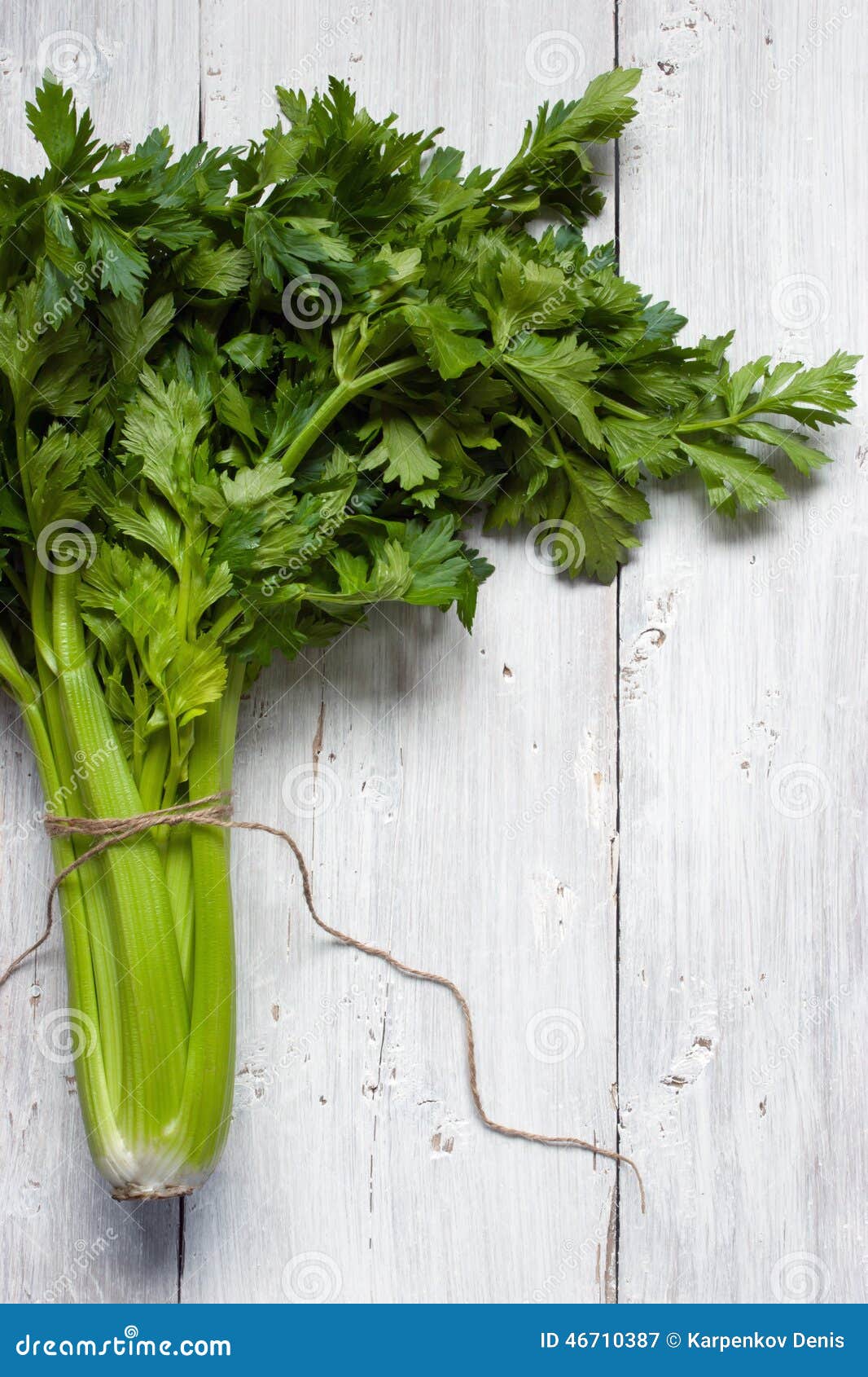 Apio Verde En El Fondo Blanco Imagen de archivo - Imagen de nadie ...