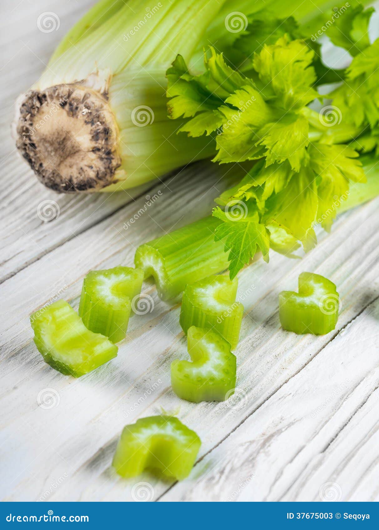 Apio verde en un blanco imagen de archivo. Imagen de fondo - 37675003