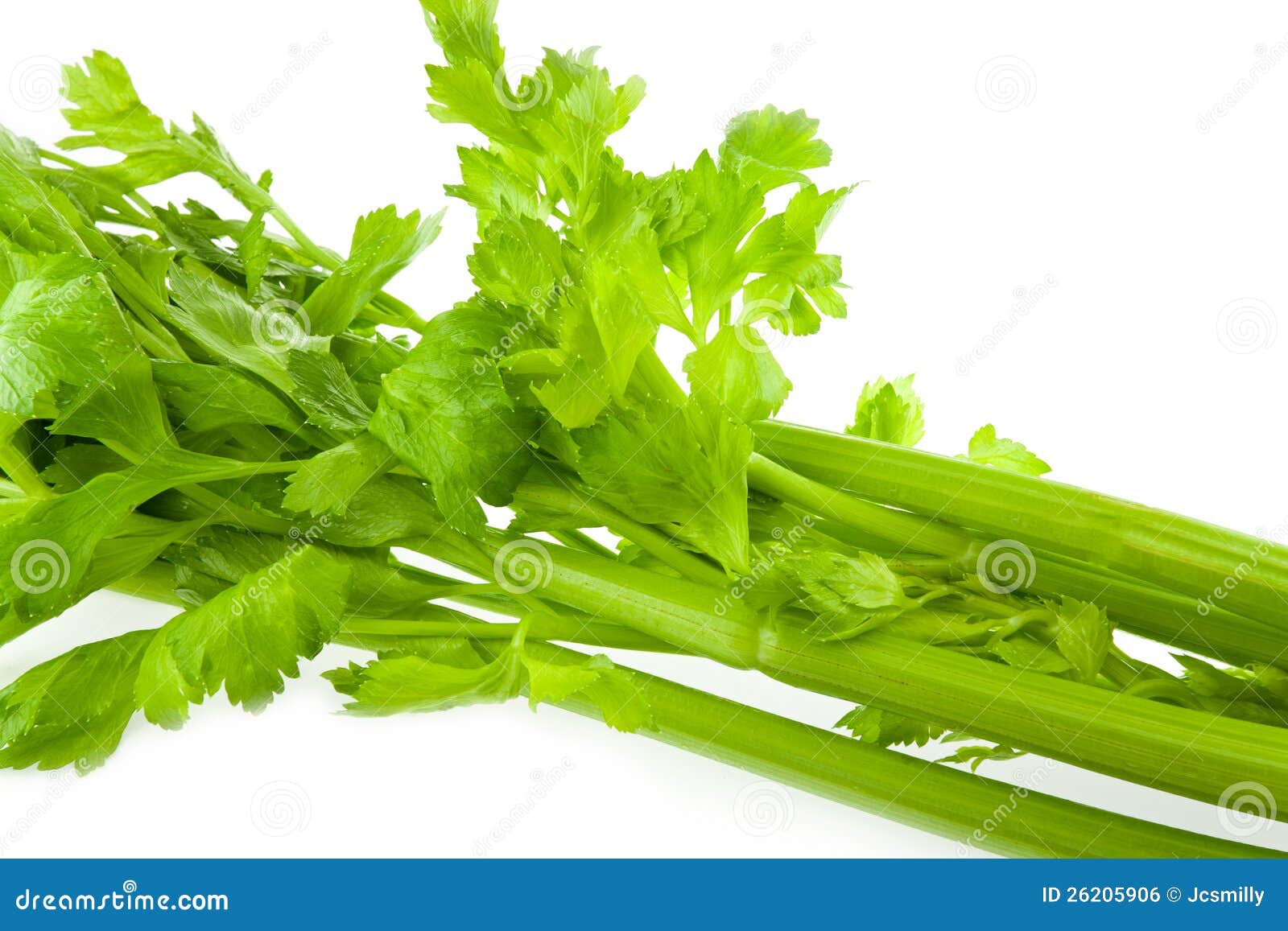 Apio Verde Fresco Aislado En Blanco Foto de archivo - Imagen de planta ...