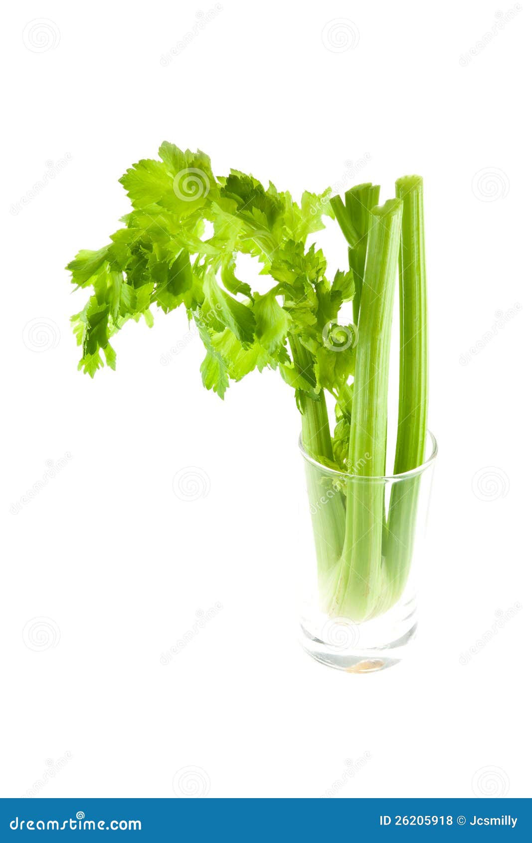 Apio Verde Fresco Aislado En Blanco Foto de archivo - Imagen de hoja ...