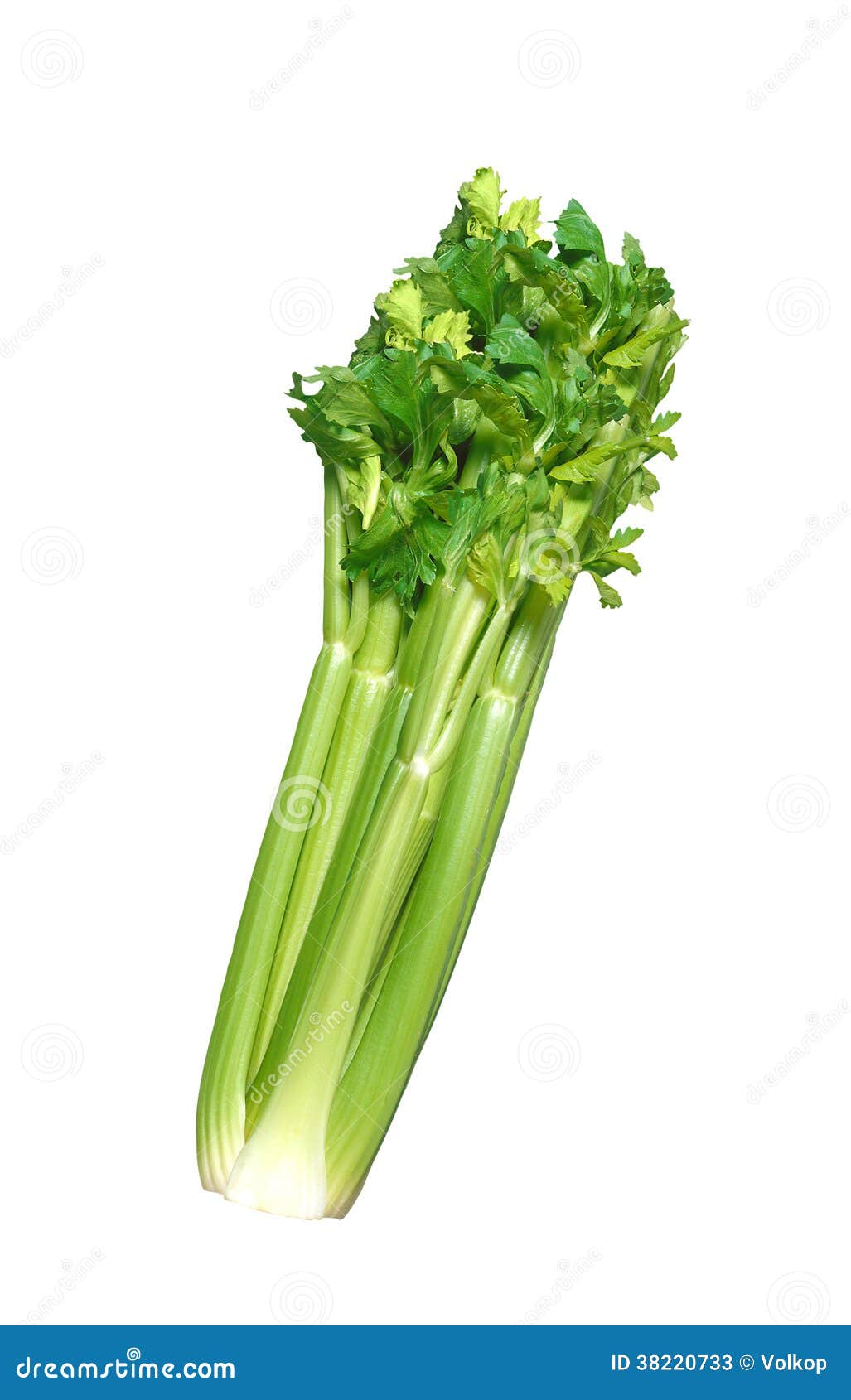 Apio Verde Fresco Aislado En Blanco Imagen de archivo - Imagen de ...