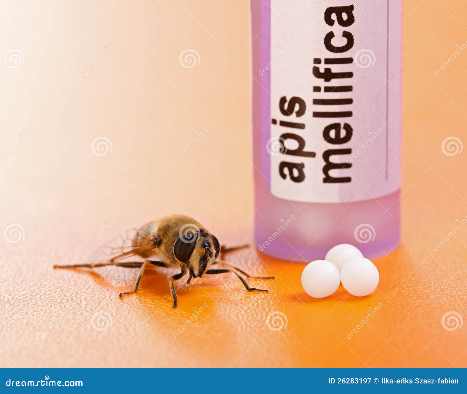 Apis Mellifica Homeopathic Medication and Bee Stock Image - Image of ...
