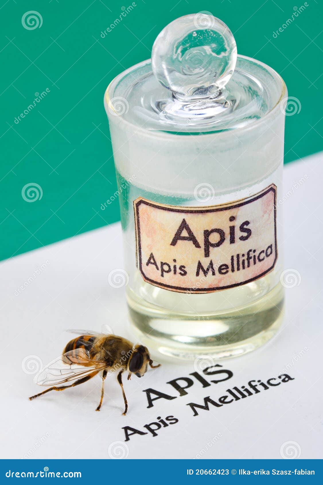 Apis Mellifica Sheet, the Bee and Poison Extract Stock Image - Image of ...