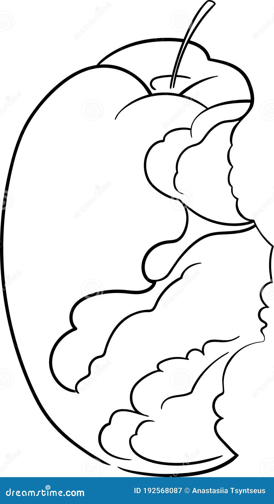 Apple With Bite Illustration Cartoon Vector | CartoonDealer.com #6232253