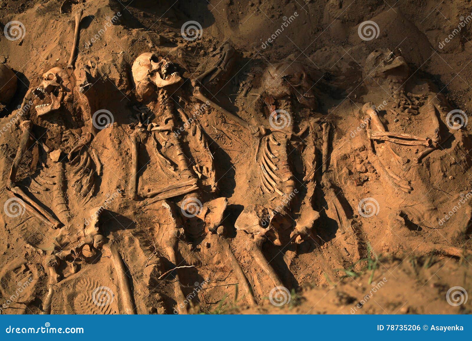 Apocalypse Concept Skull and Bones Abstrarct Background Stock Photo ...