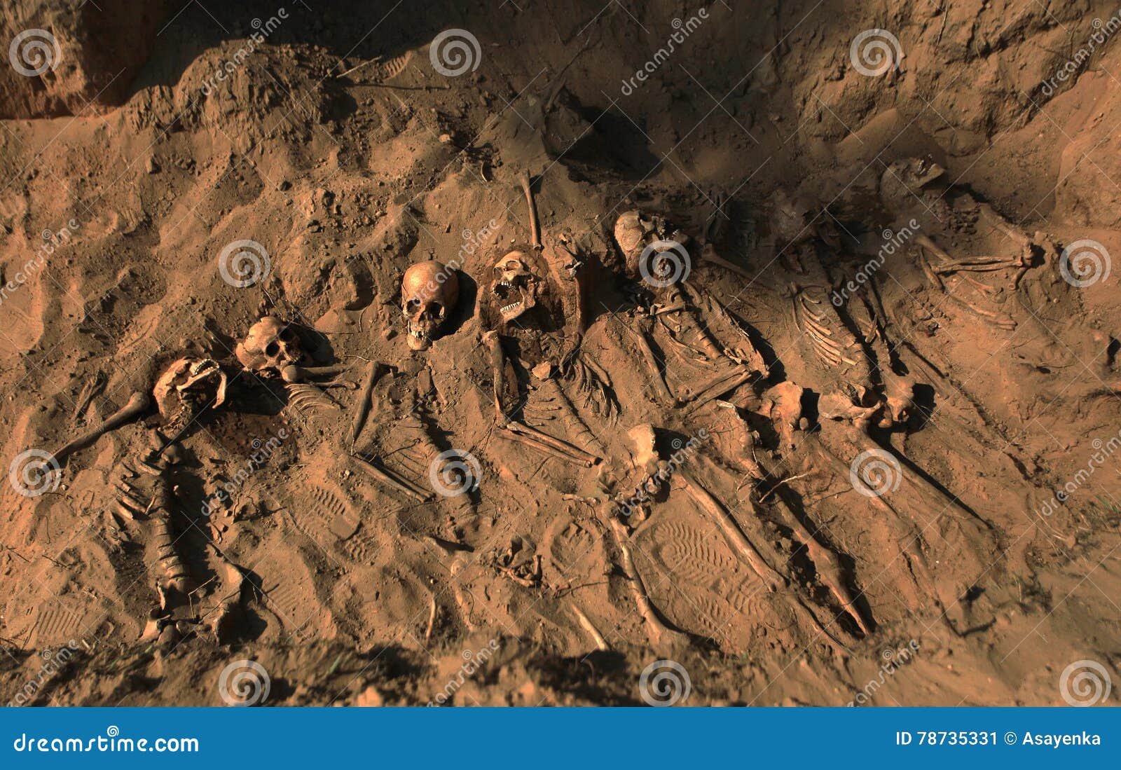 Apocalypse Concept Skull and Bones Abstrarct Background Stock Image ...