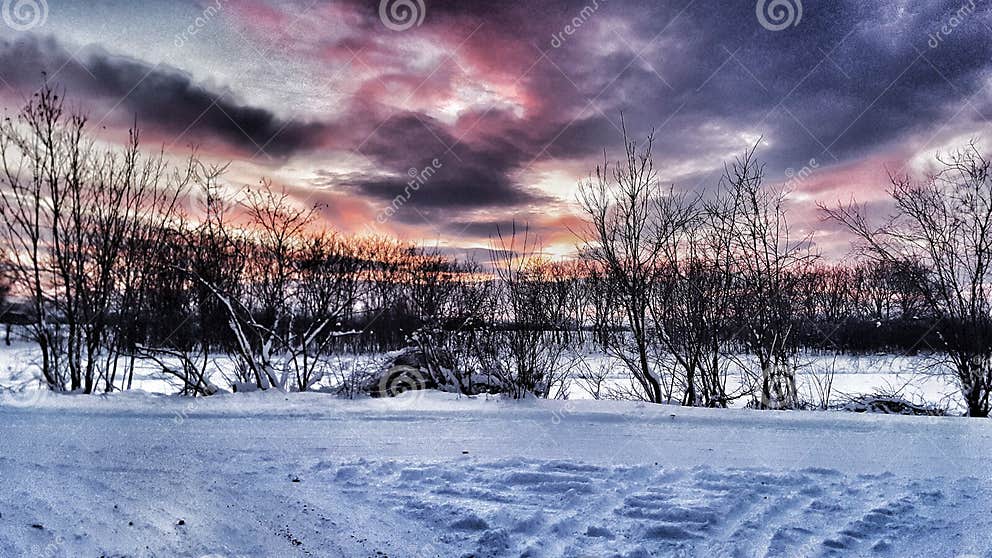 Apocalypse snow stock photo. Image of snow, apocalypse - 88148652